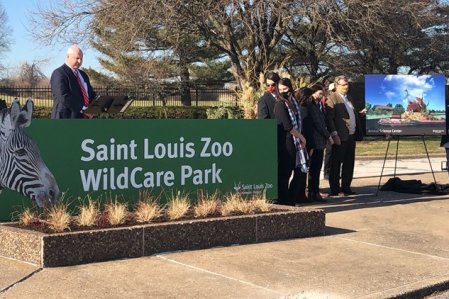 Biography | Winthrop B. Reed, III