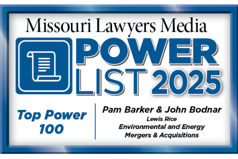 Redaction Statutes Declared Unconstitutional